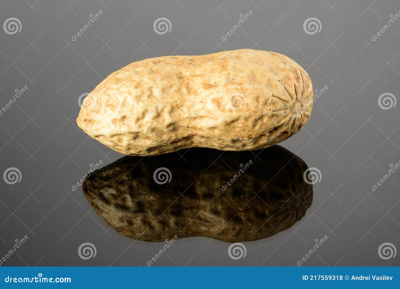 Peanut on Glossy Grey Surface with Reflection. Ripe Whole Real Peanut ...