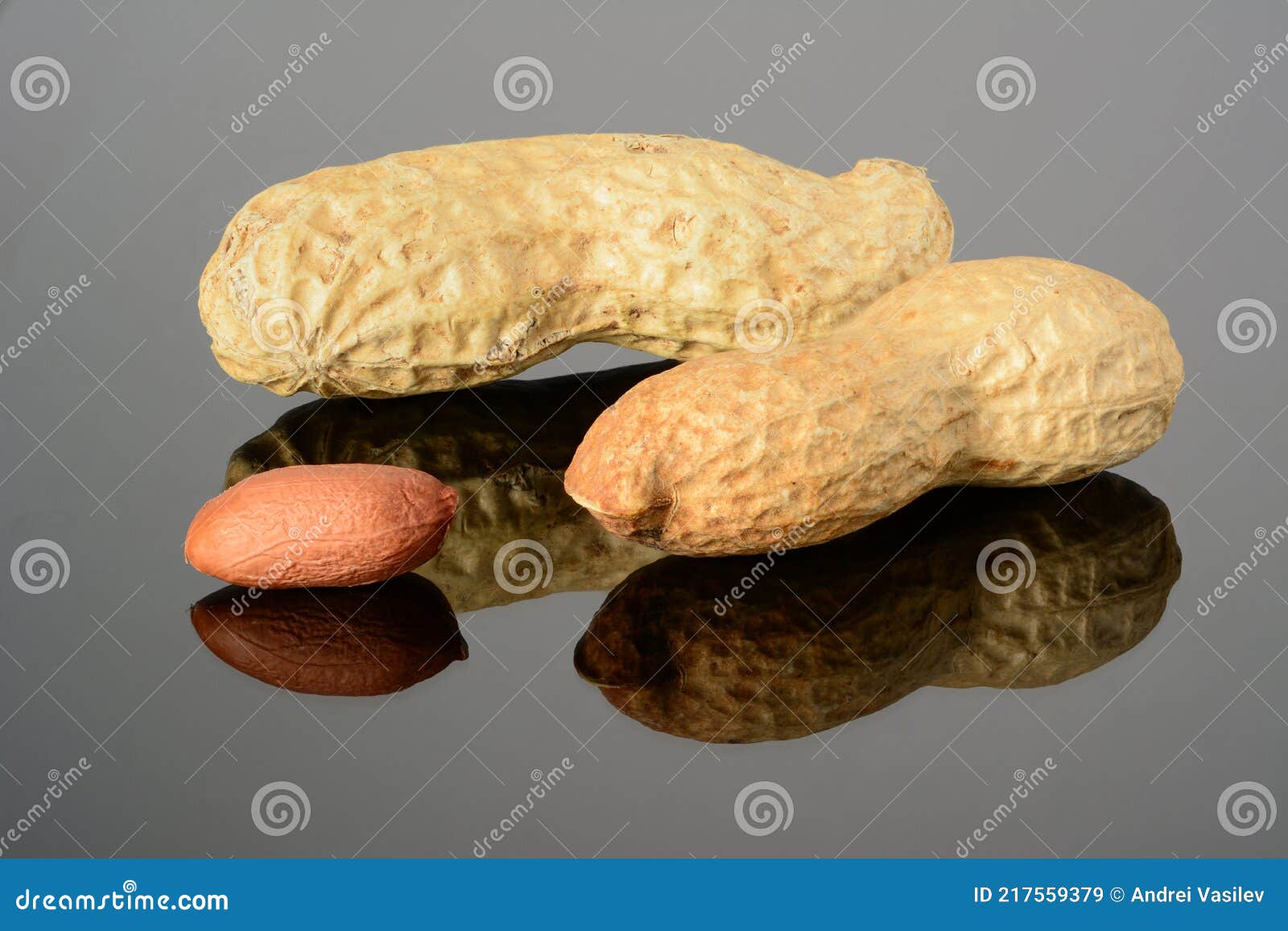 Peanut on Glossy Grey Surface with Reflection. Two Ripe Whole Real ...