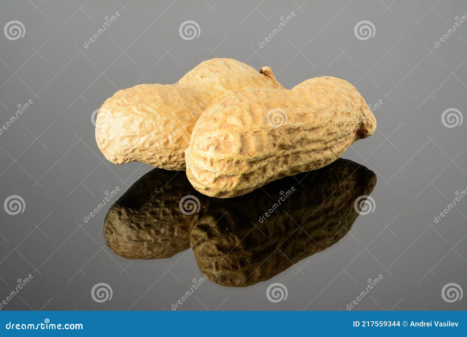 Peanut on Glossy Grey Surface with Reflection. Two Ripe Whole Real ...