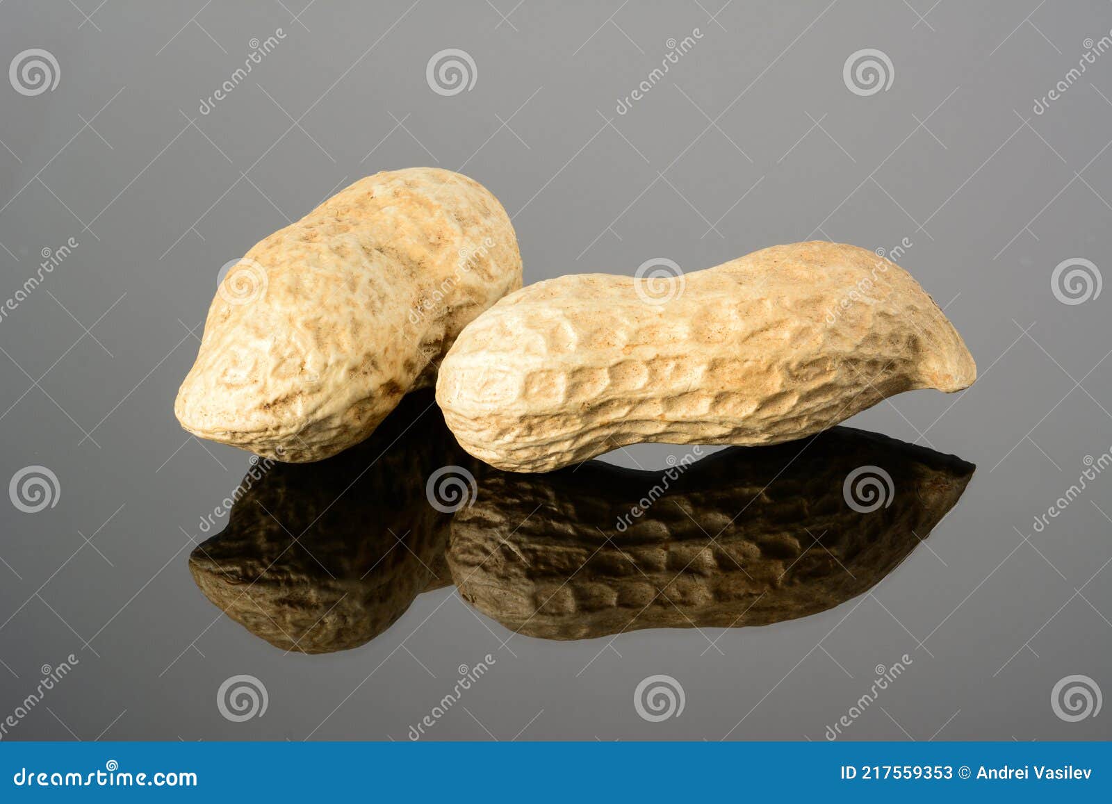 Peanut on Glossy Grey Surface with Reflection. Two Ripe Whole Real ...
