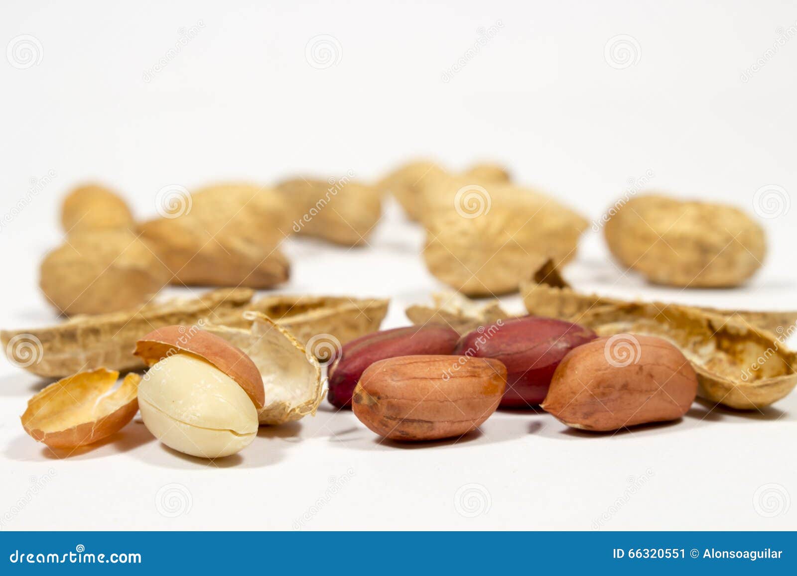 Peanut grains and shells stock image. Image of grains - 66320551