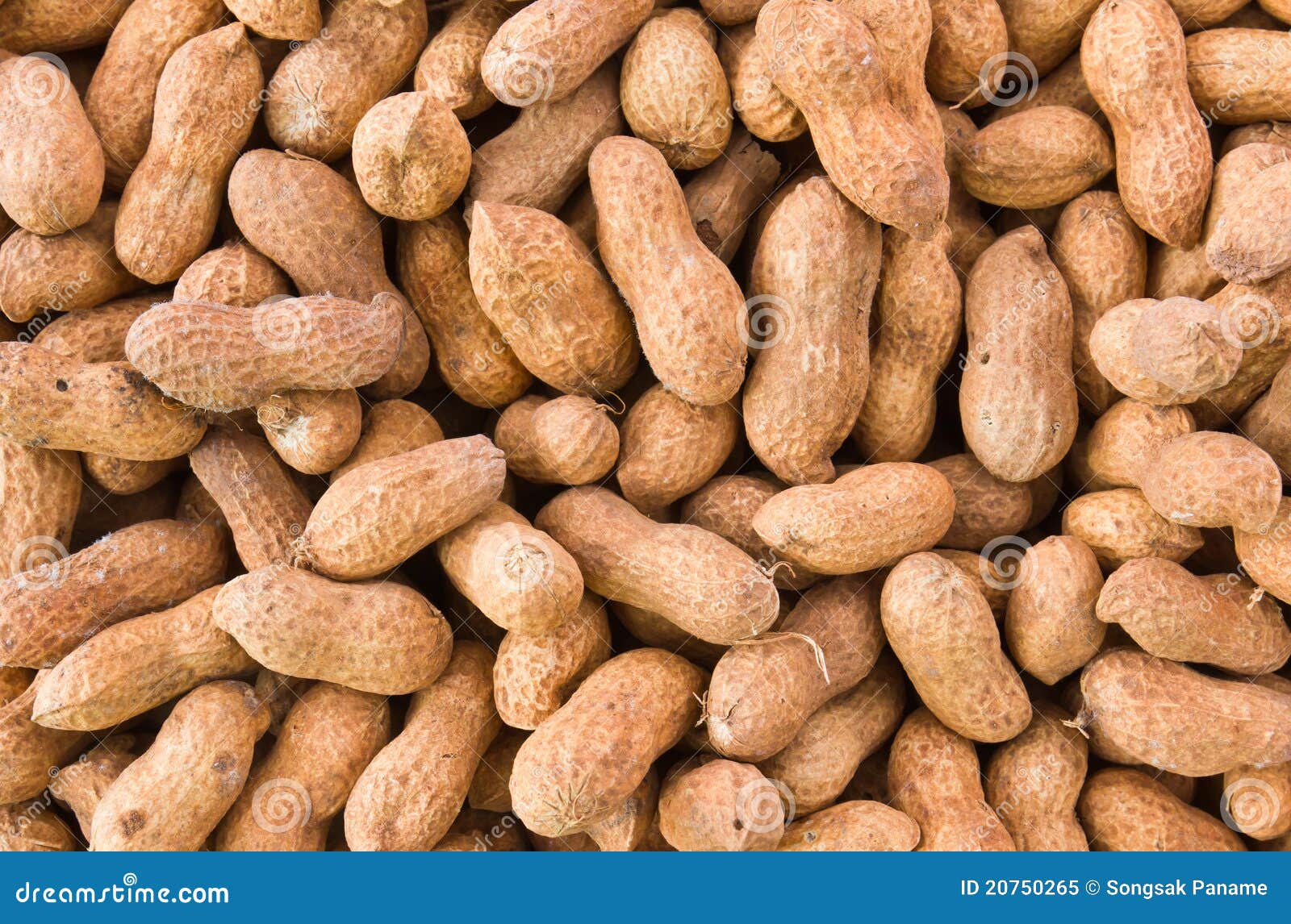 Peanut or groundnut stock image. Image of cuisine, life - 20750265