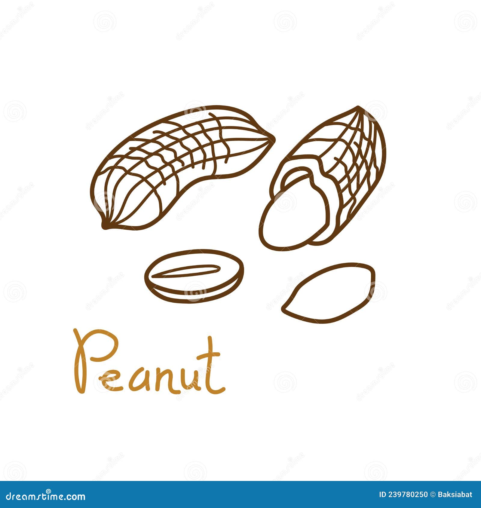 Peanut, Groundnut Hand Drawn Graphics Element for Packaging Design of ...