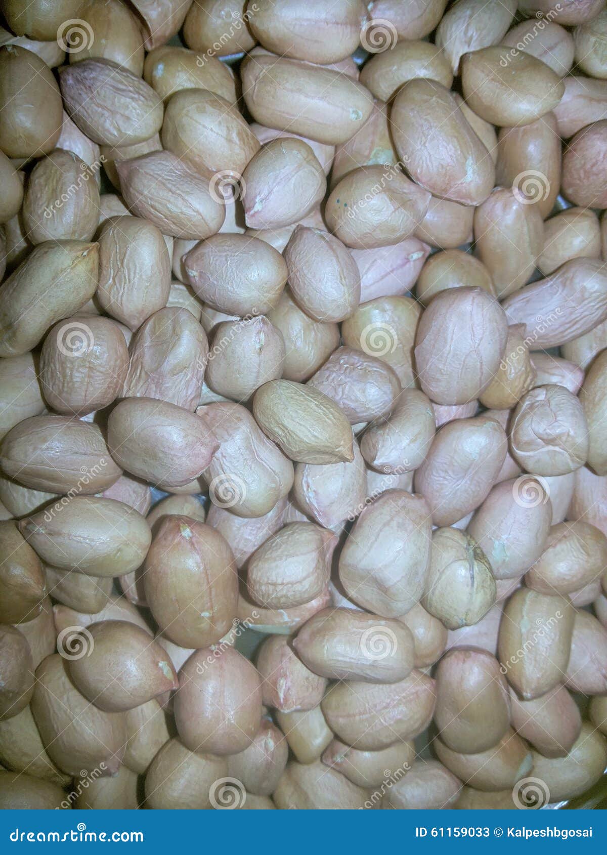 Peanut or groundnut stock image. Image of meal, groundnut - 61159033