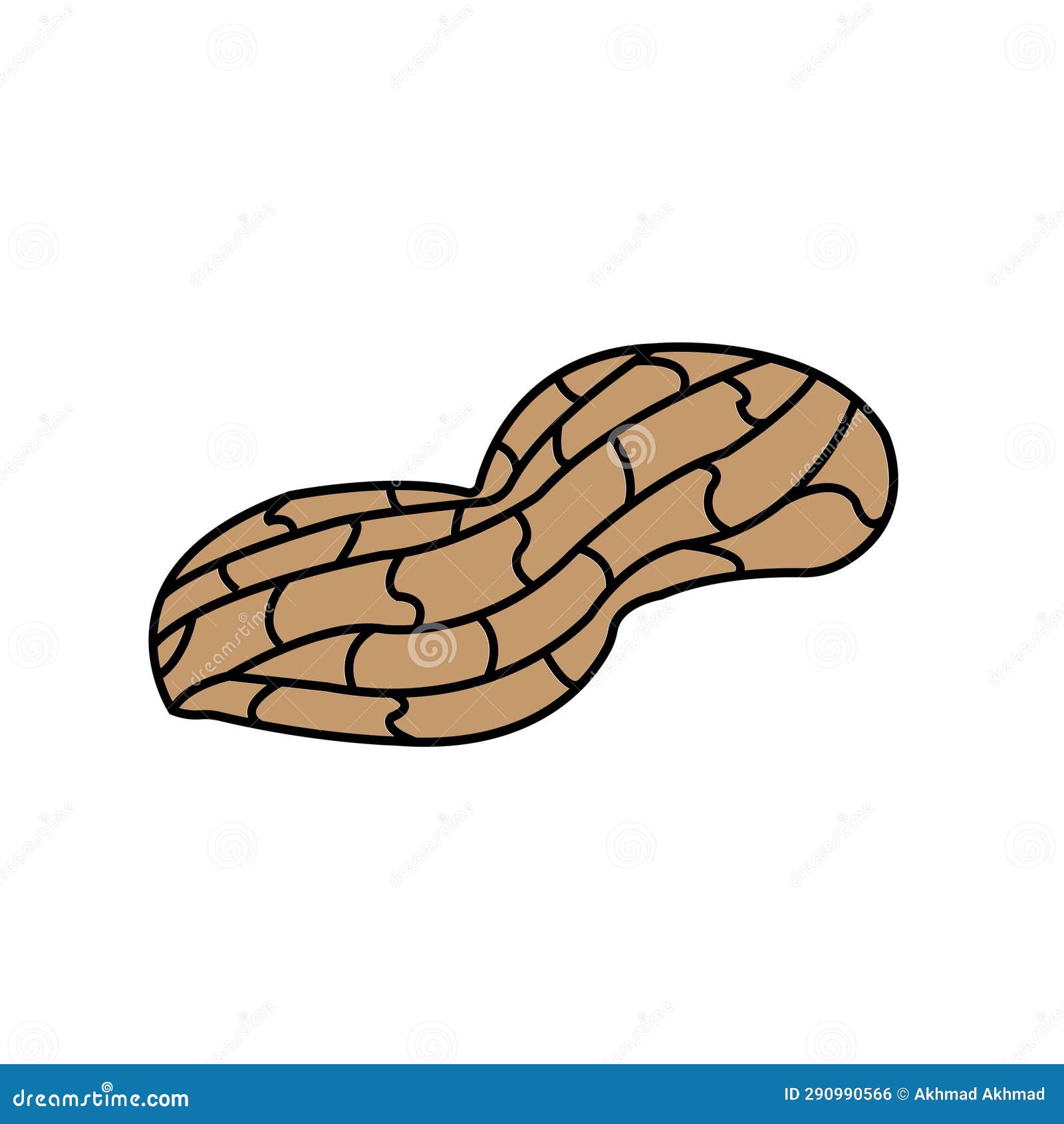 Peanut icon stock vector. Illustration of peanut, nutrition - 290990566