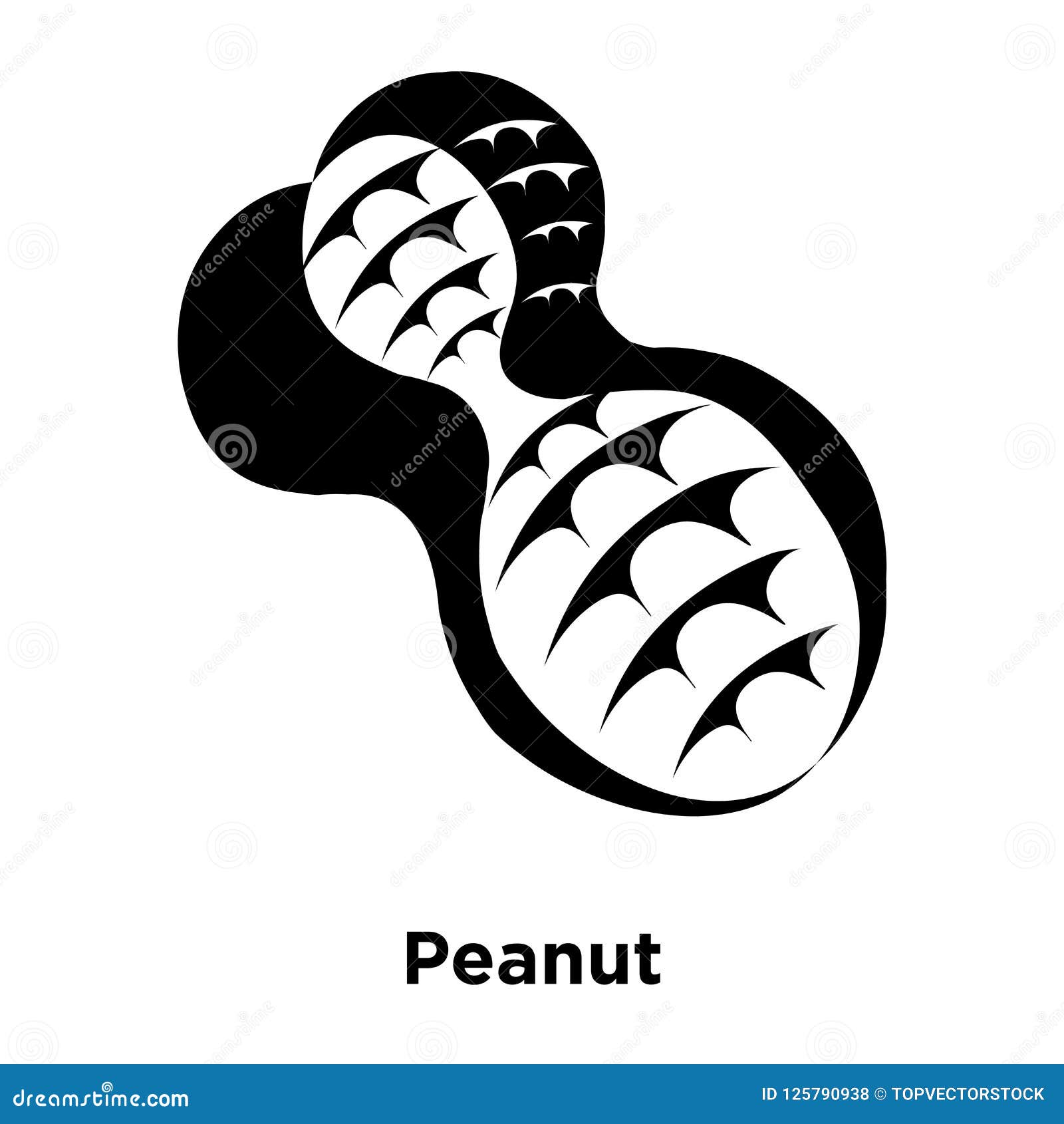 Peanut Icon Vector Isolated on White Background, Logo Concept of Stock ...