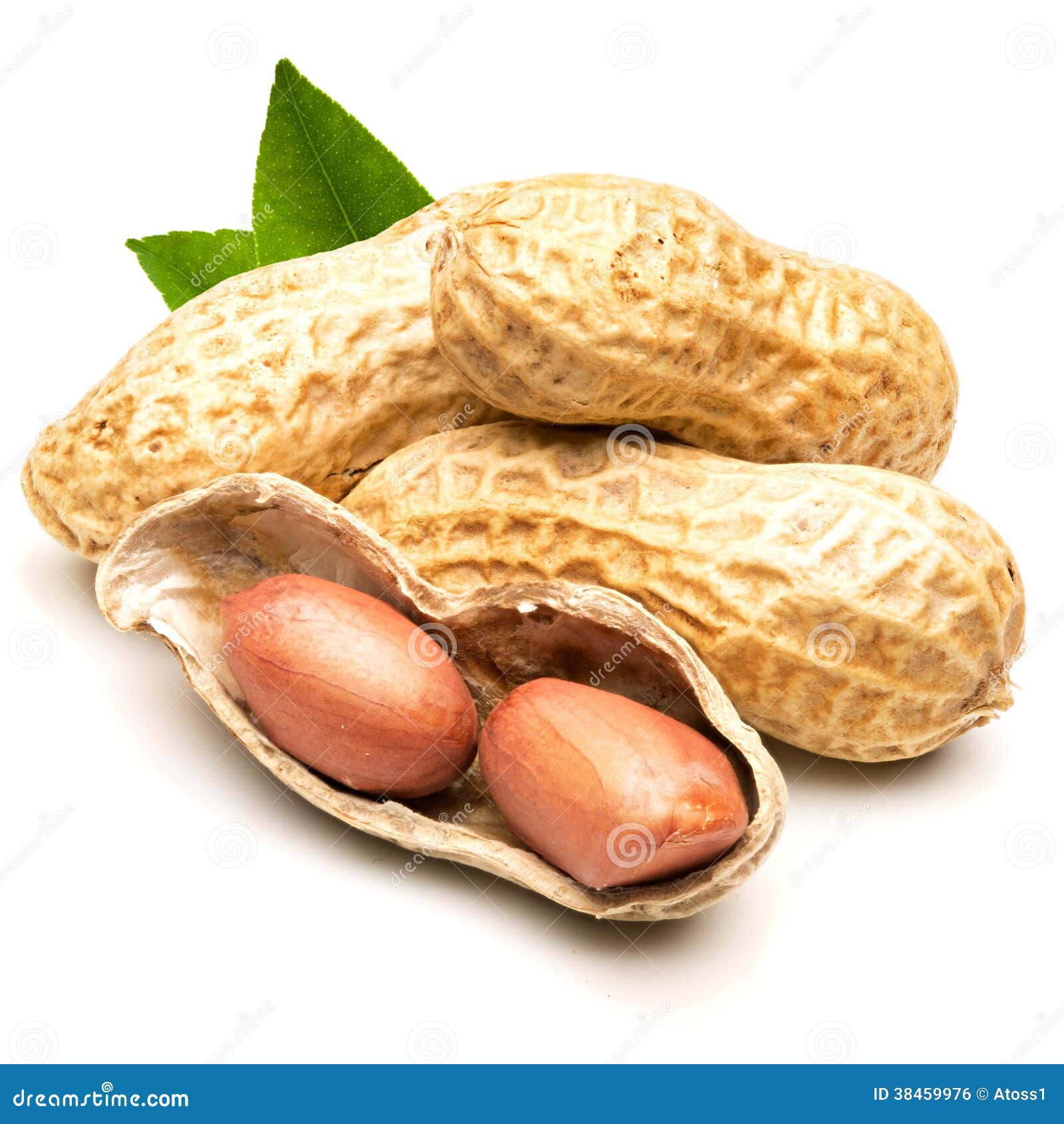 Peanut isolated stock photo. Image of health, fresh, ingredient - 38459976