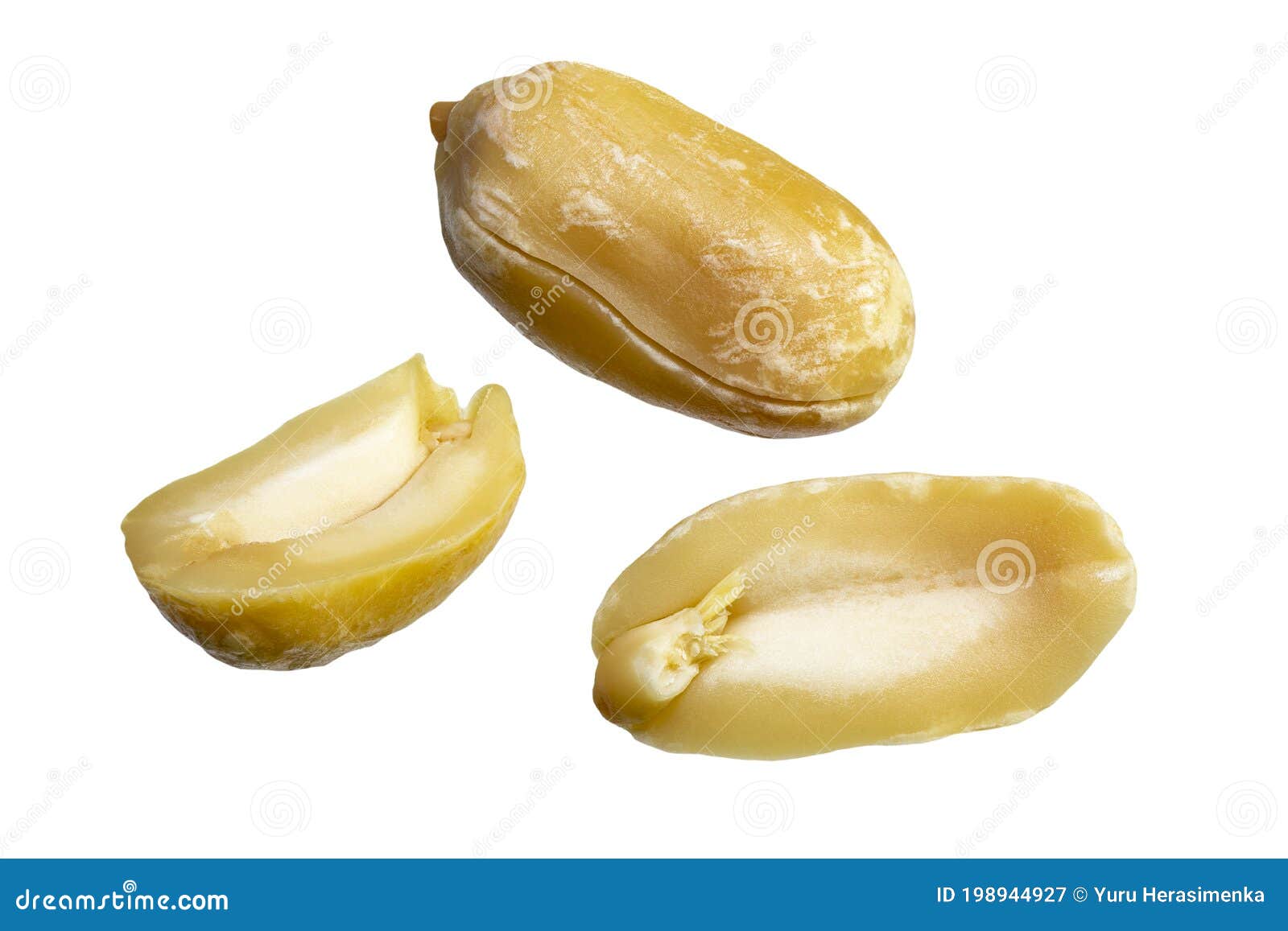 Peanut Isolated Closeup without Shell As Package Design Element ...