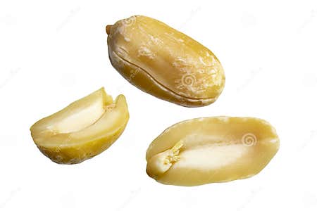 Peanut Isolated Closeup without Shell As Package Design Element ...