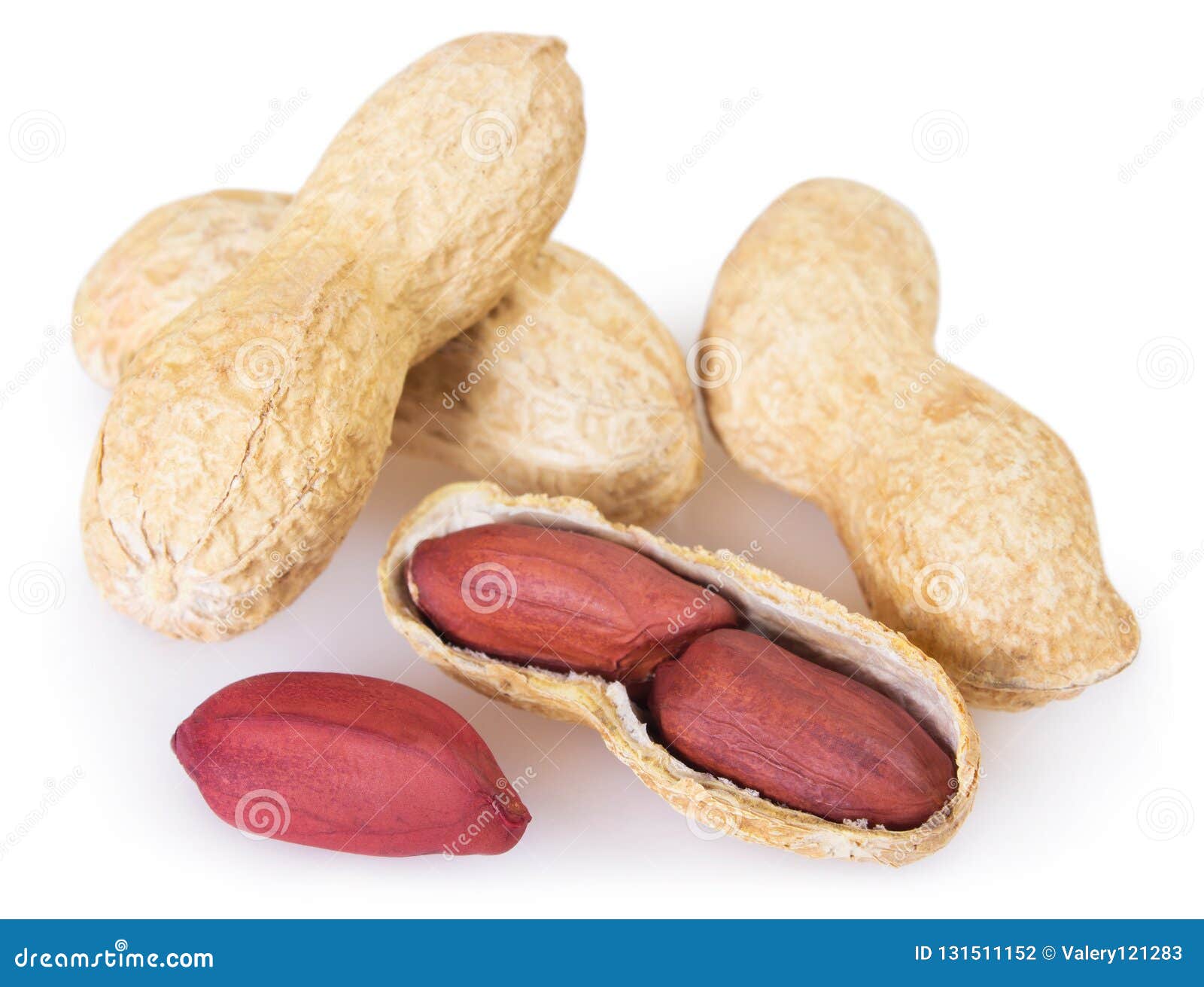 Peanut on white background stock photo. Image of ingredient - 131511152