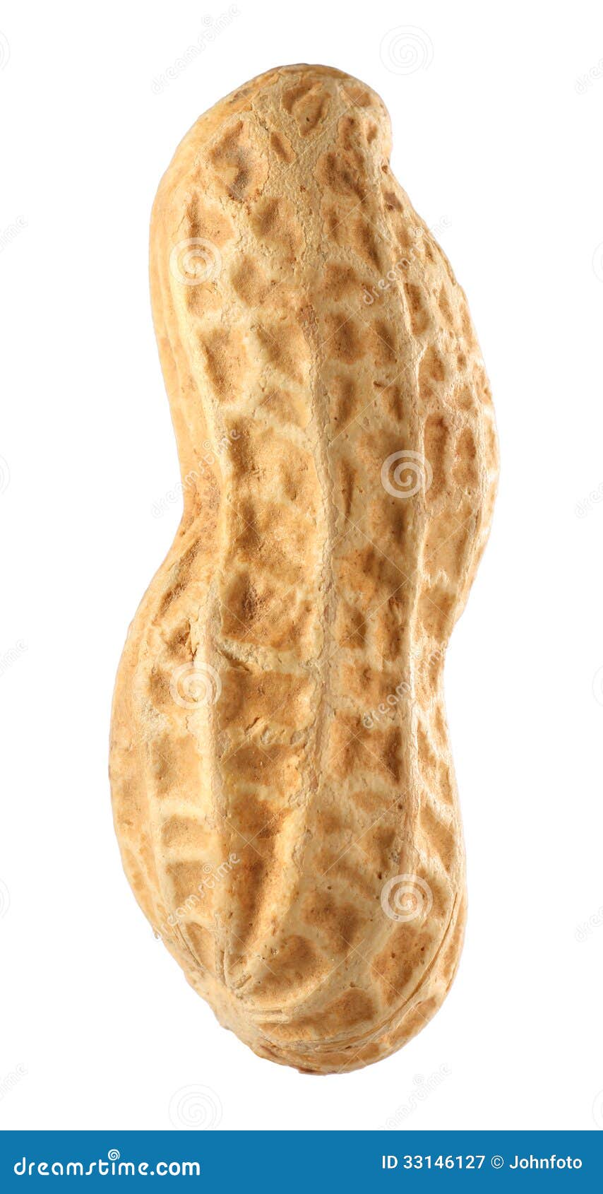Peanut stock image. Image of peanut, shell, arachis, seed - 33146127