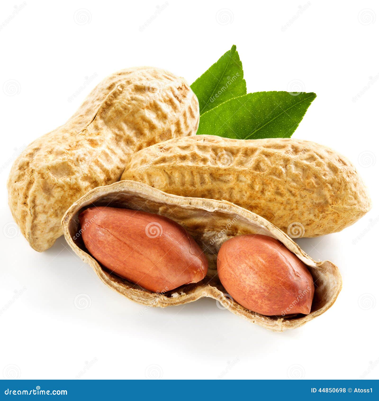 Peanut stock photo. Image of nature, background, isolated - 44850698