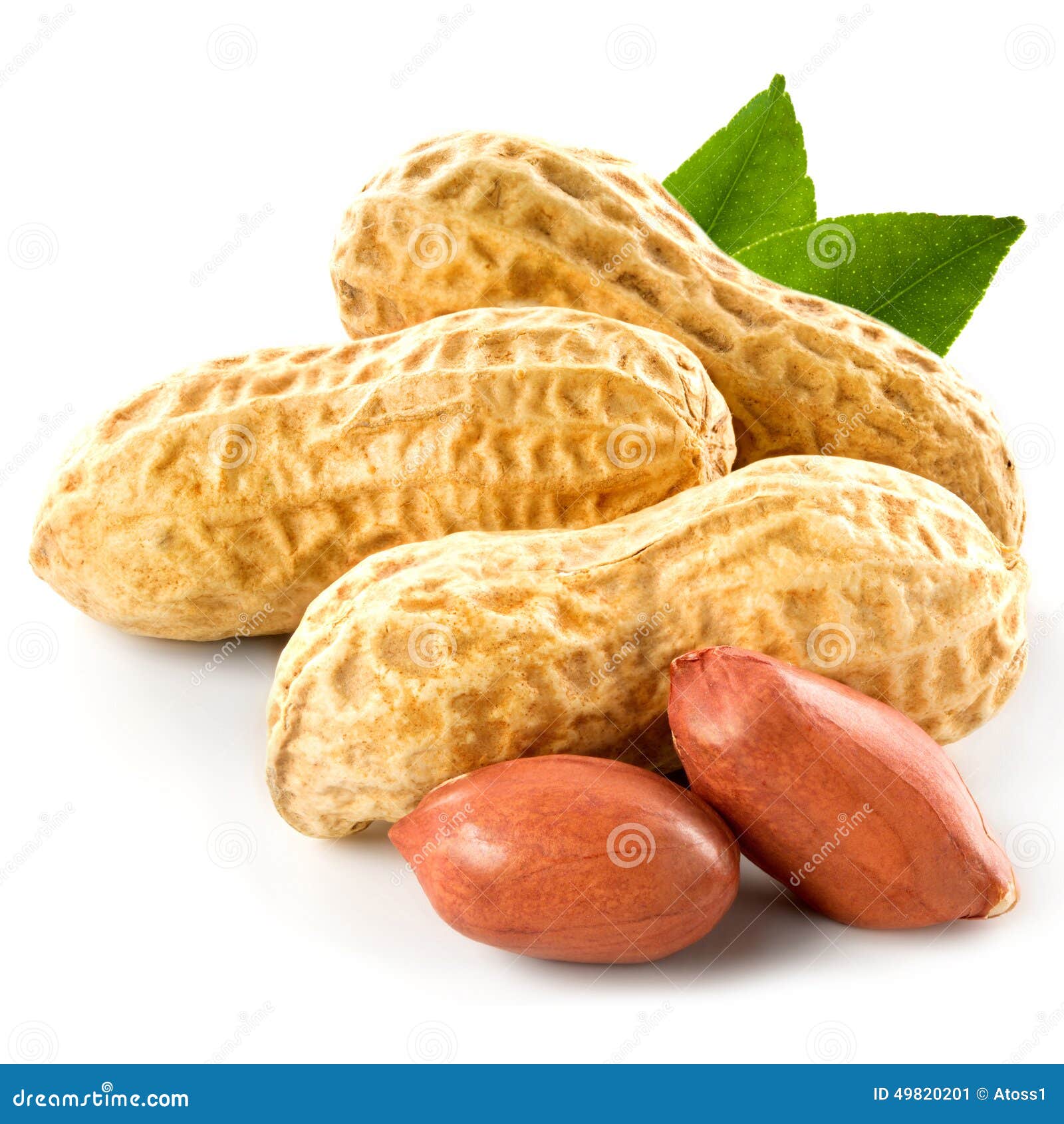 Peanut stock image. Image of closeup, isolated, nature - 49820201
