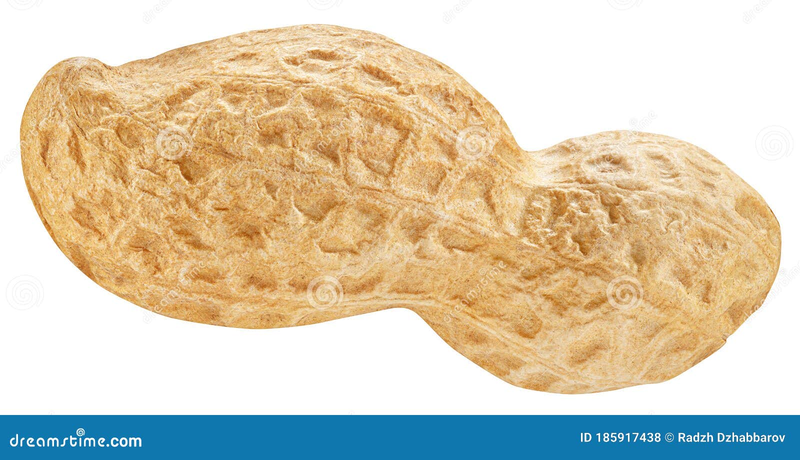 Peanut Isolated on White Background. One Peanut in a Shell Closeup ...