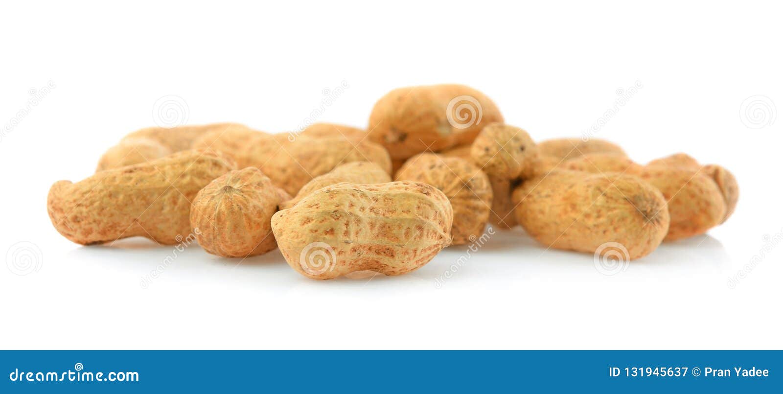 Peanut Isolated on White Background Stock Image - Image of natural ...