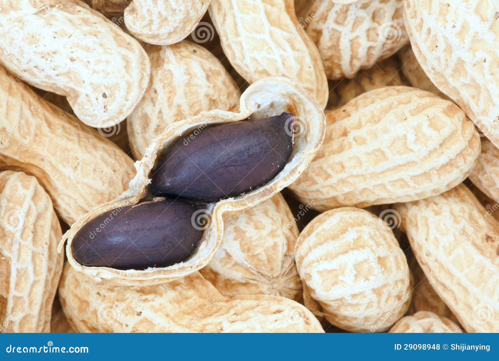 Peanut kernel stock photo. Image of groundnut, crop, groundnuts - 29098948