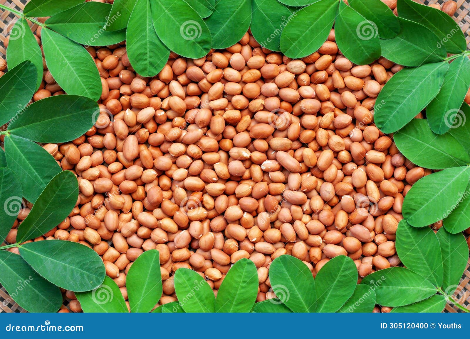 Peanut Kernel with Green Leaves Stock Photo - Image of healthy, grain ...
