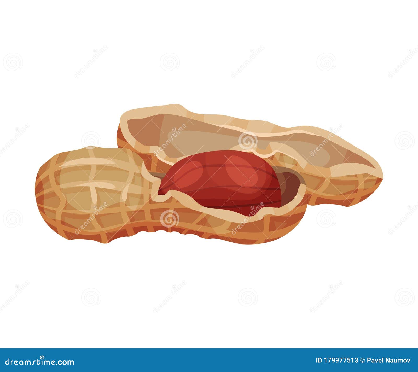 Nutshell Cartoons, Illustrations & Vector Stock Images - 16851 Pictures ...