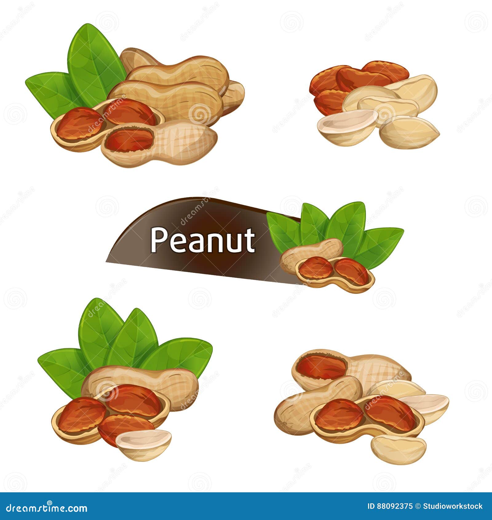Peanut Kernel in Nutshell with Leaves Set Stock Vector - Illustration ...