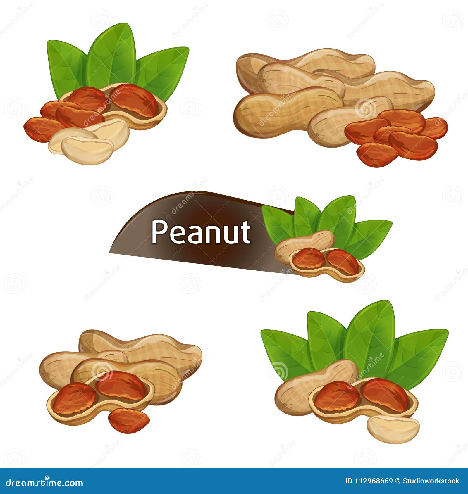 Peanut Kernel in Nutshell with Leaves Set Stock Illustration ...
