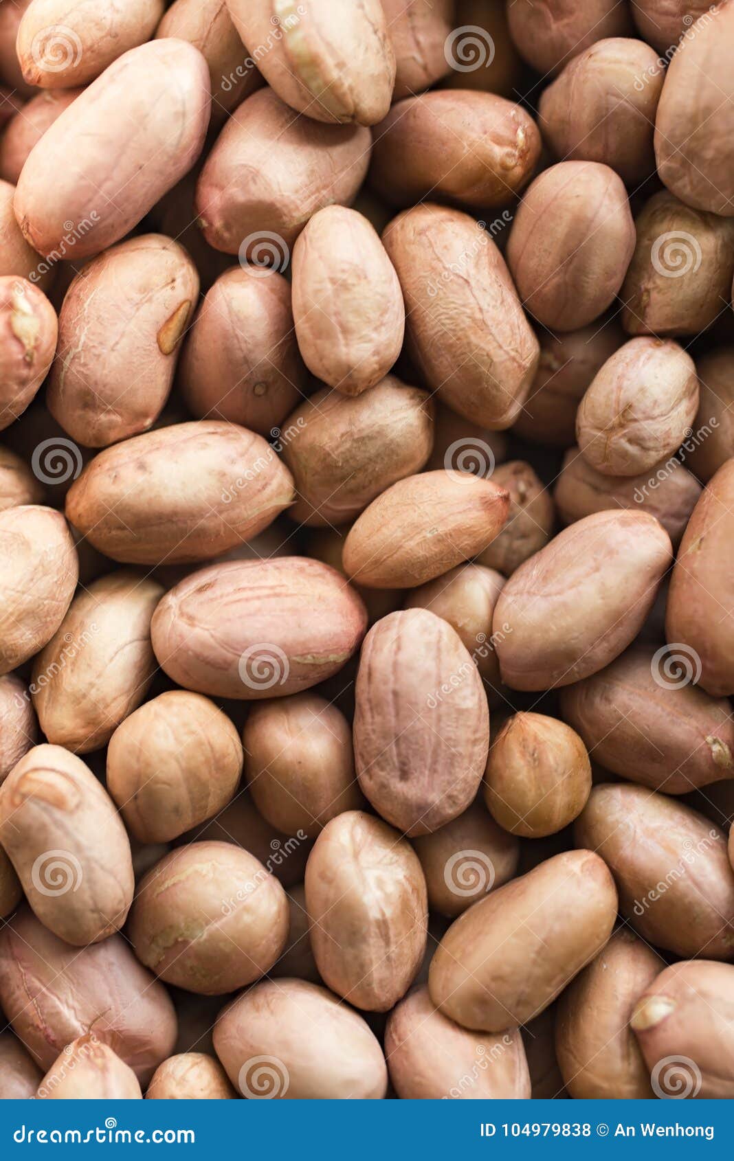 Peanut kernels stock photo. Image of peanut, groundnut - 104979838