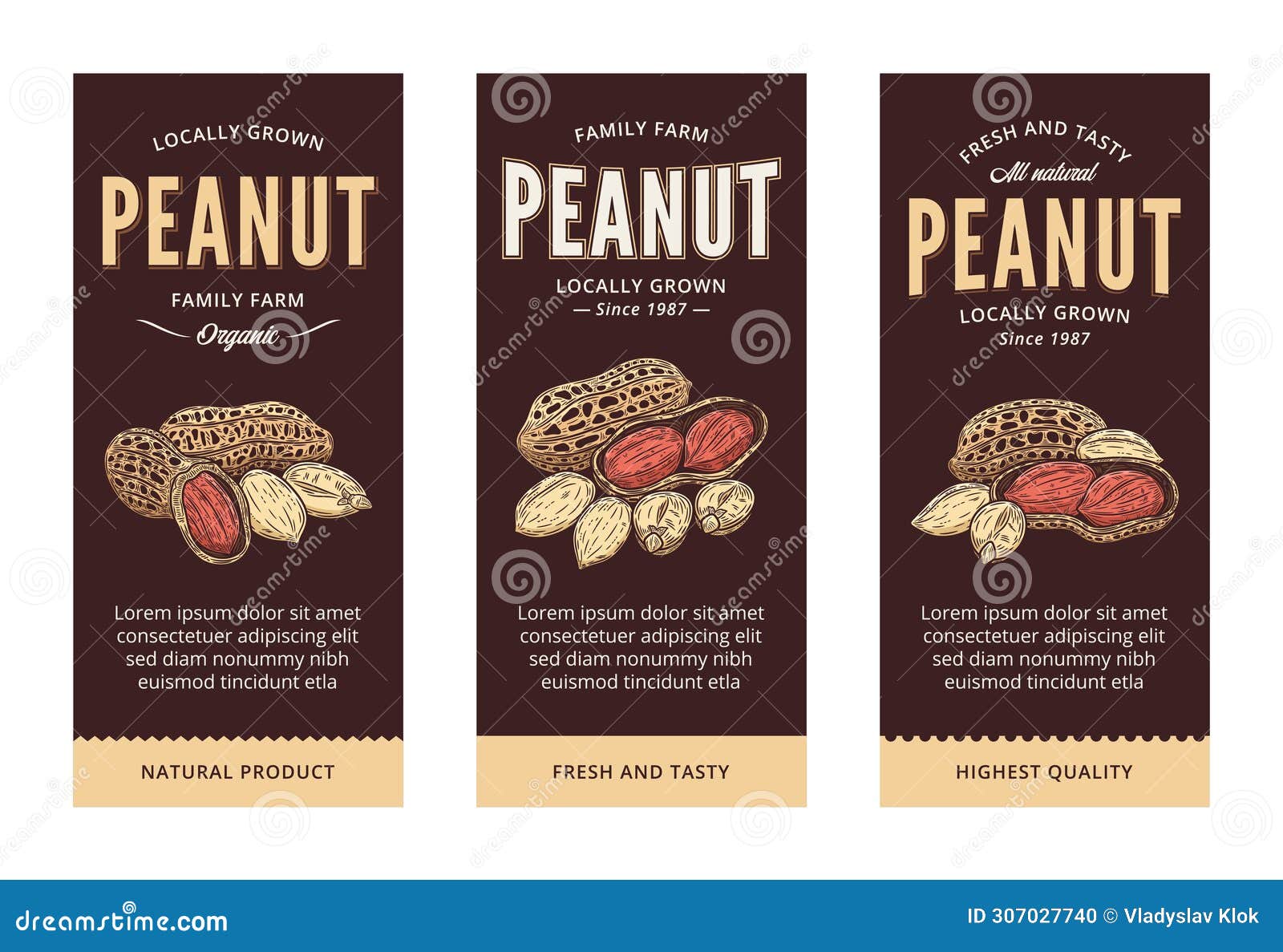 Peanut Labels in Modern Style Stock Illustration - Illustration of ...