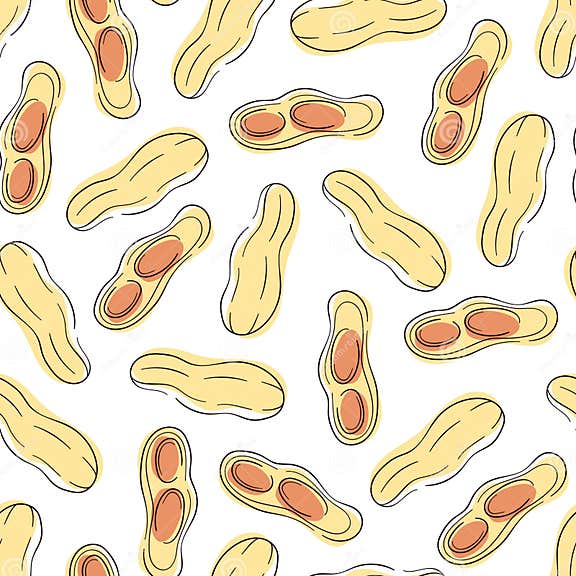 Peanut Line Art Style Seamless Pattern. Peanuts Hand Drawn Illustration ...