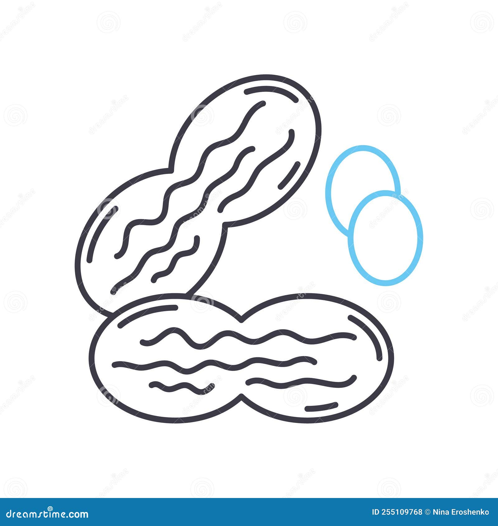 Peanut Line Icon, Outline Symbol, Vector Illustration, Concept Sign ...