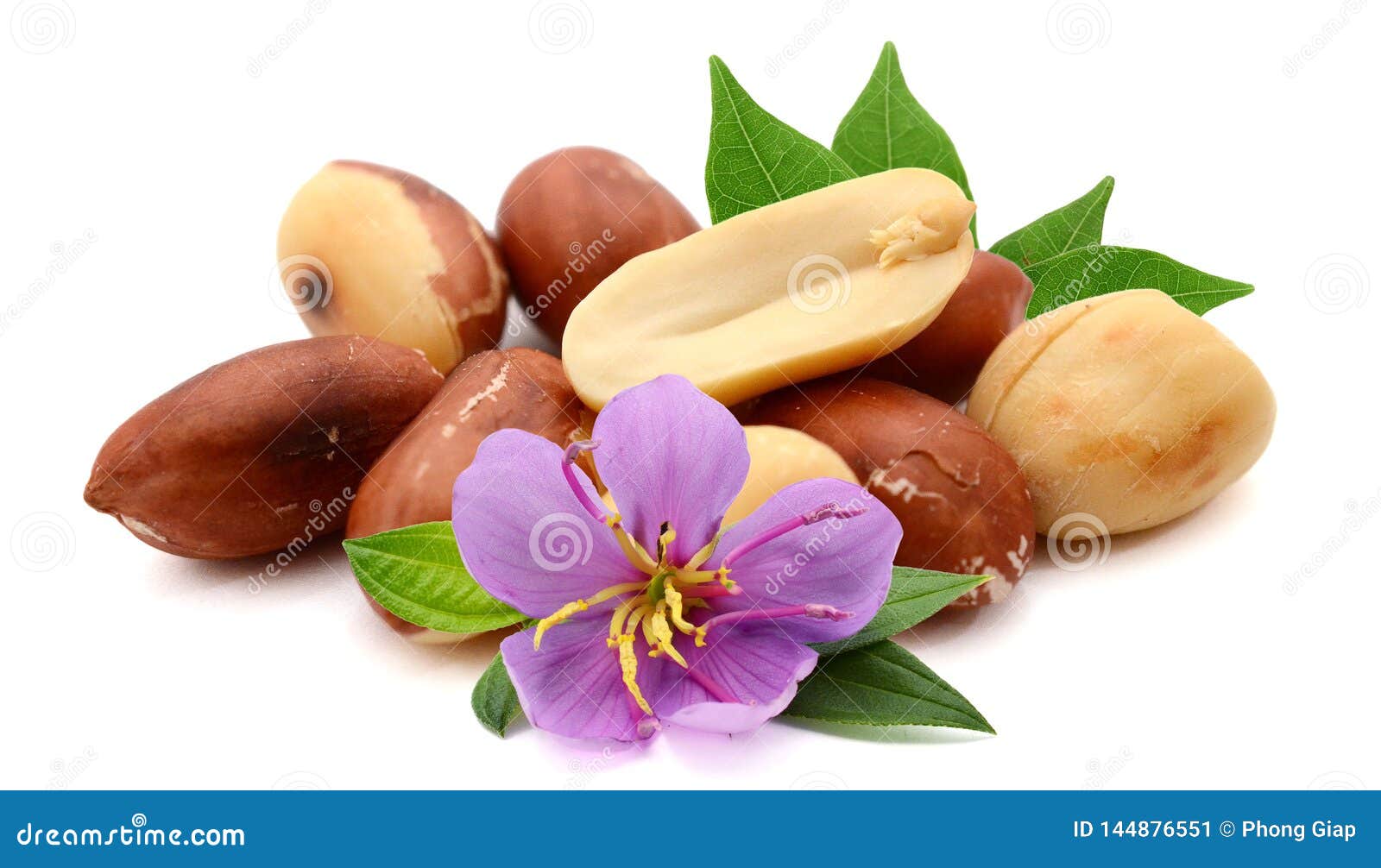 Peanut nuts. stock image. Image of photographs, isolated - 144876551