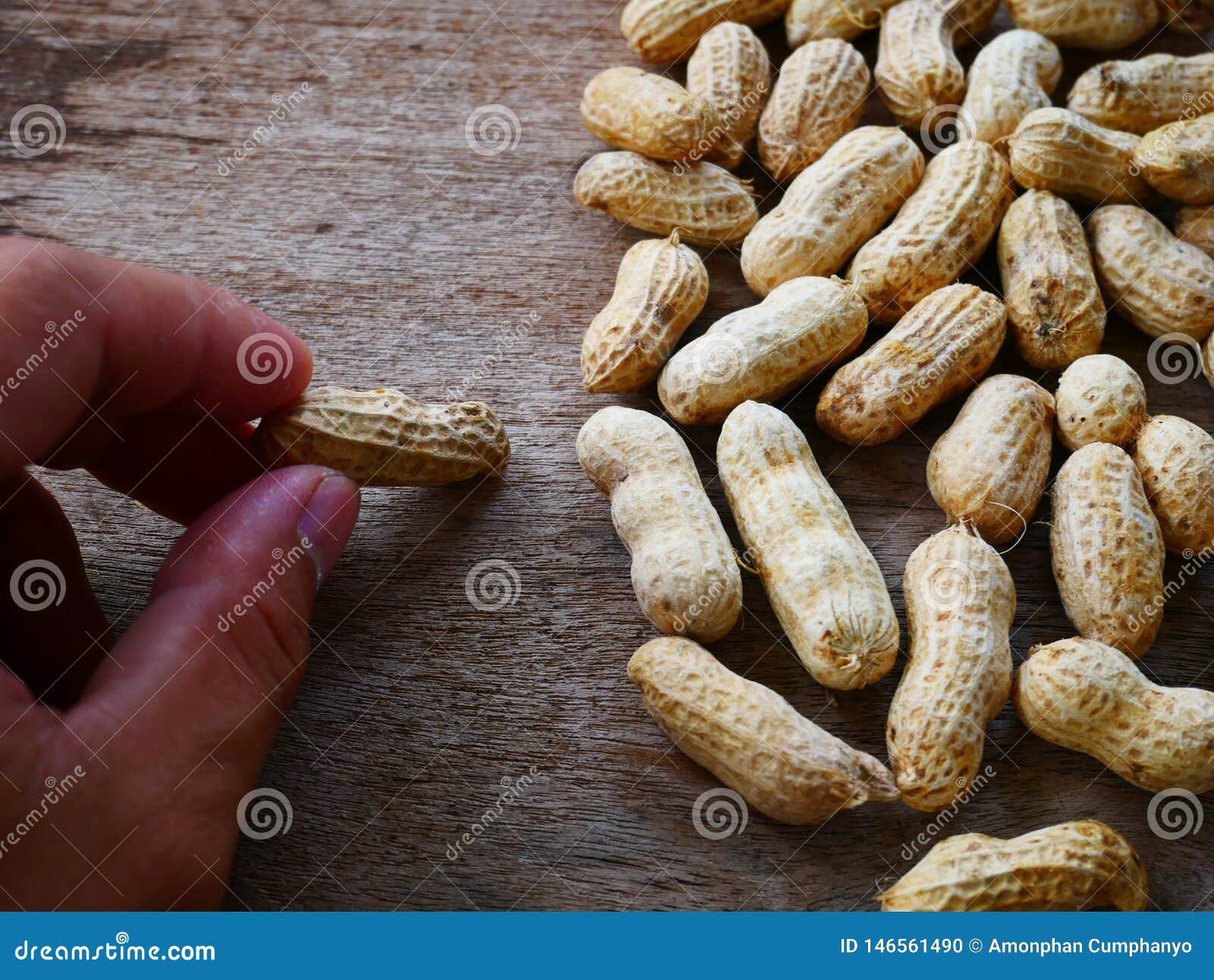 Peanut Open Shell on Group of Peanuts Close Shell Stock Photo - Image ...