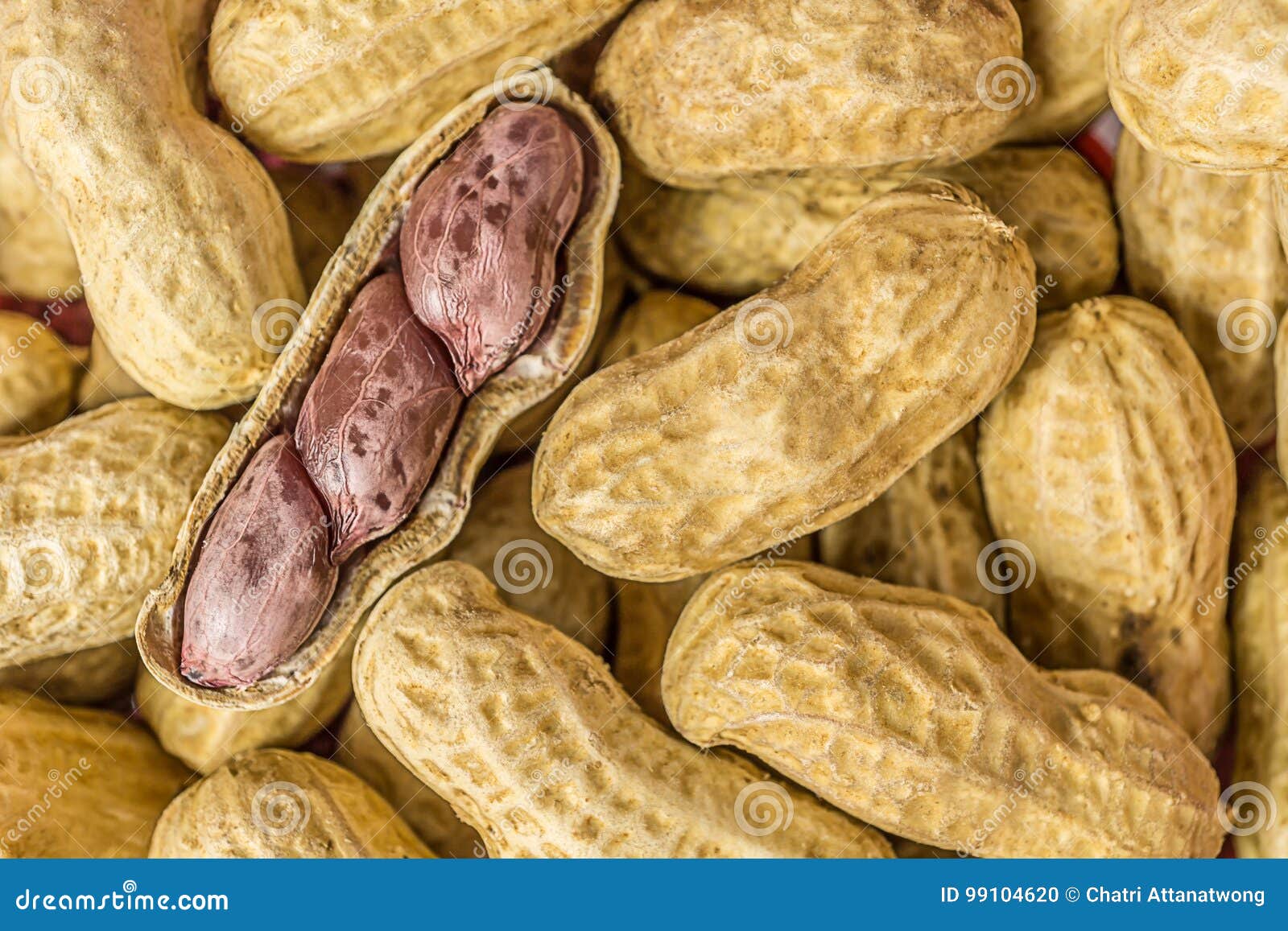 Peanut open shell stock photo. Image of diet, appetizer - 99104620