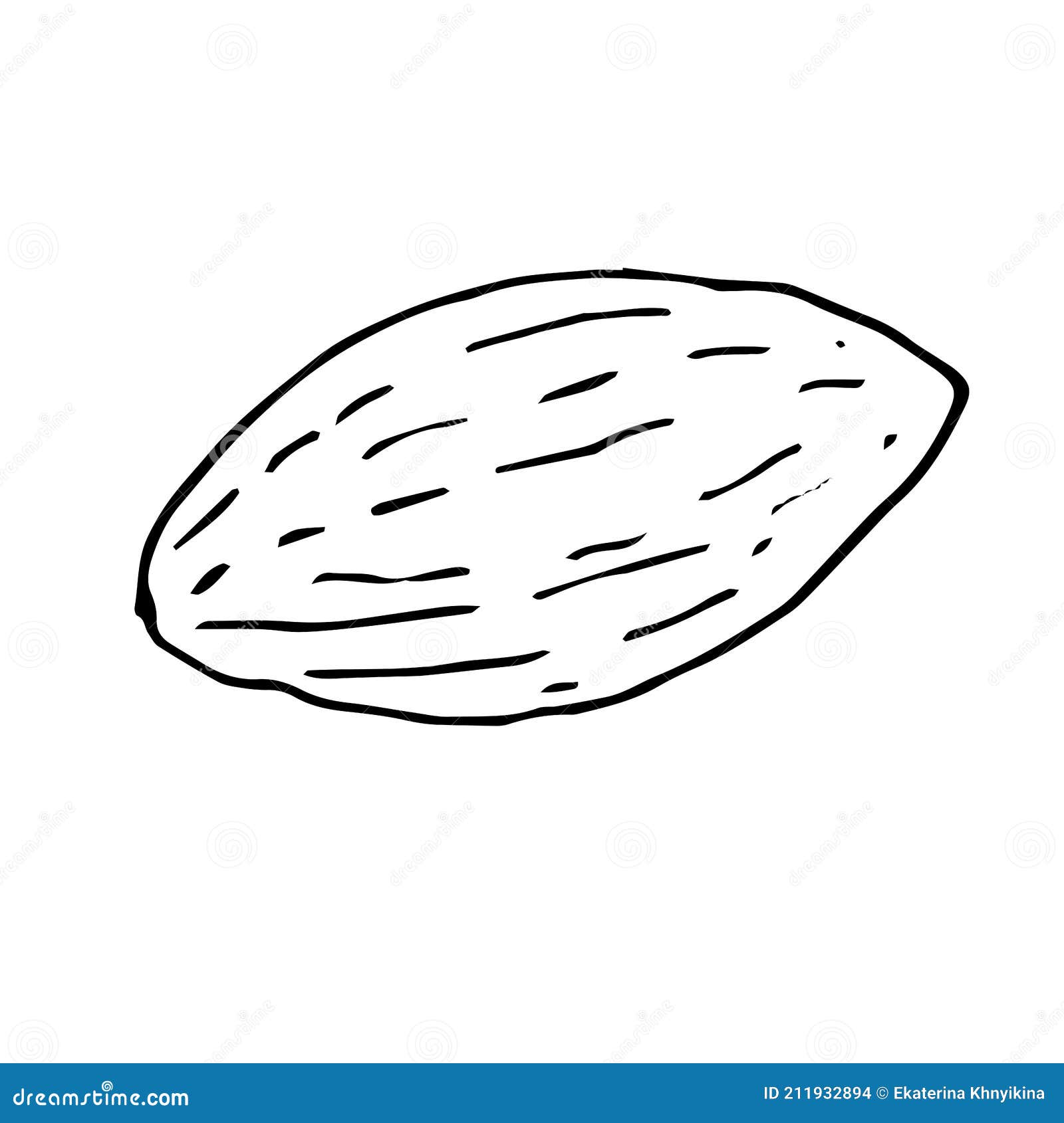 Peanut Peeled, Vector Illustration, Clip Art, Hand Drawing, Sketch ...