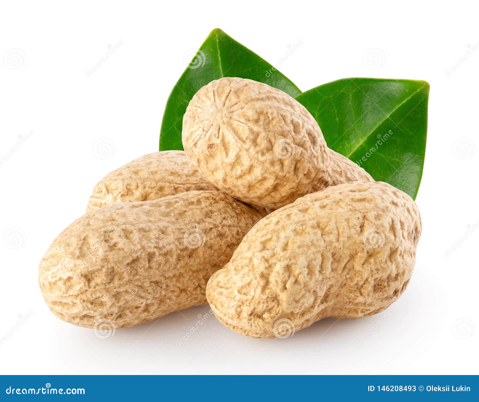 Peanut Pods with Green Leaves Stock Image - Image of natural, seed ...