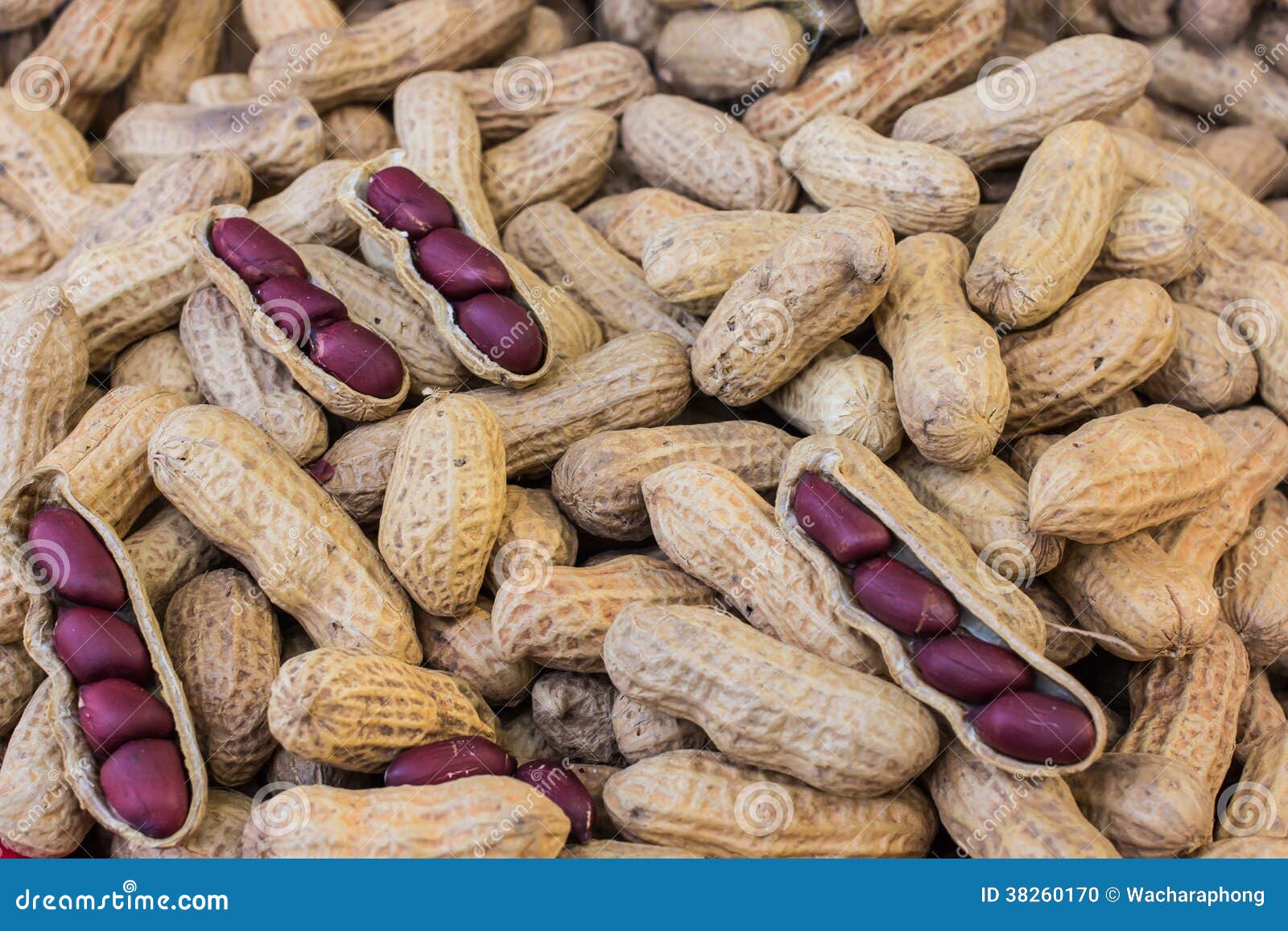 Peanut Purple stock photo. Image of cooking, dried, bark - 38260170