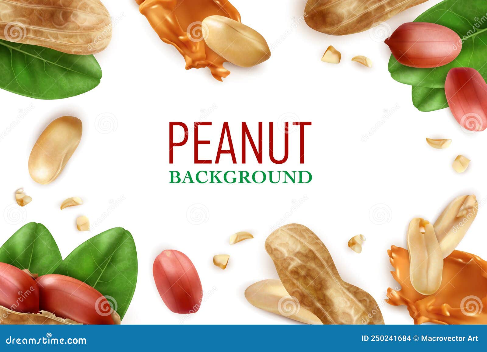 Peanut Realistic Frame stock vector. Illustration of morning - 250241684