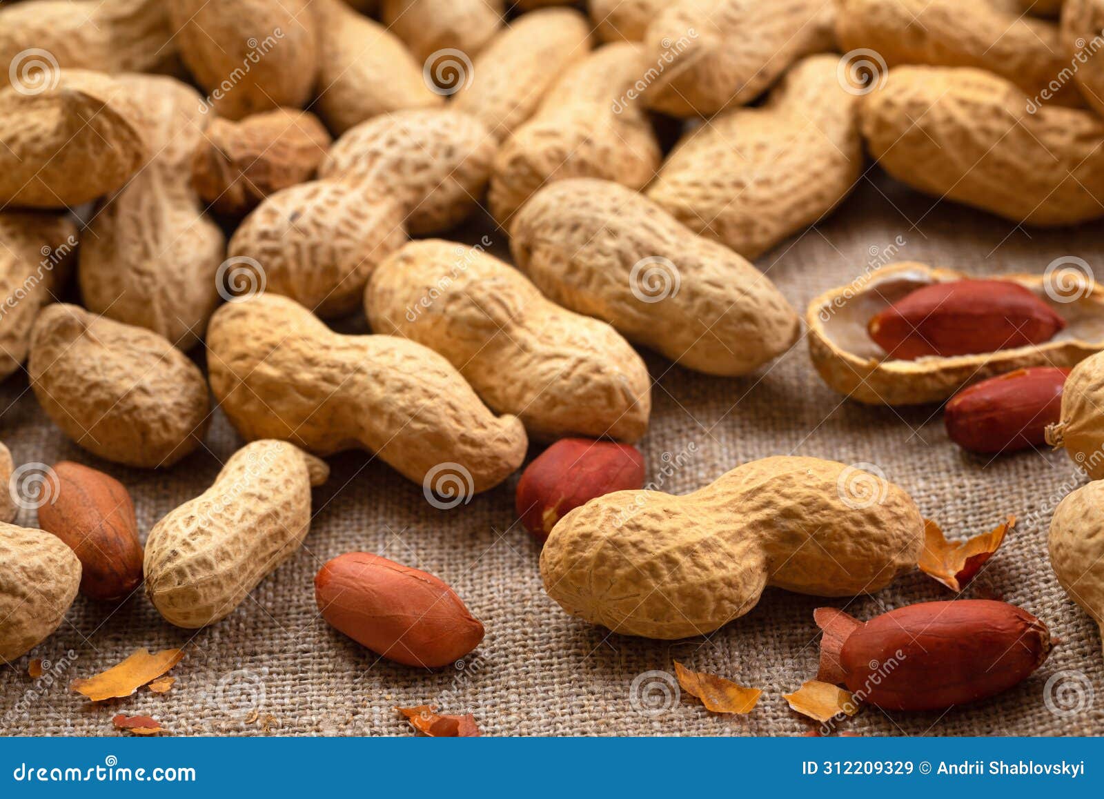 Peanut. Roasted Peanuts in Shell on Burlap Stock Image - Image of ...