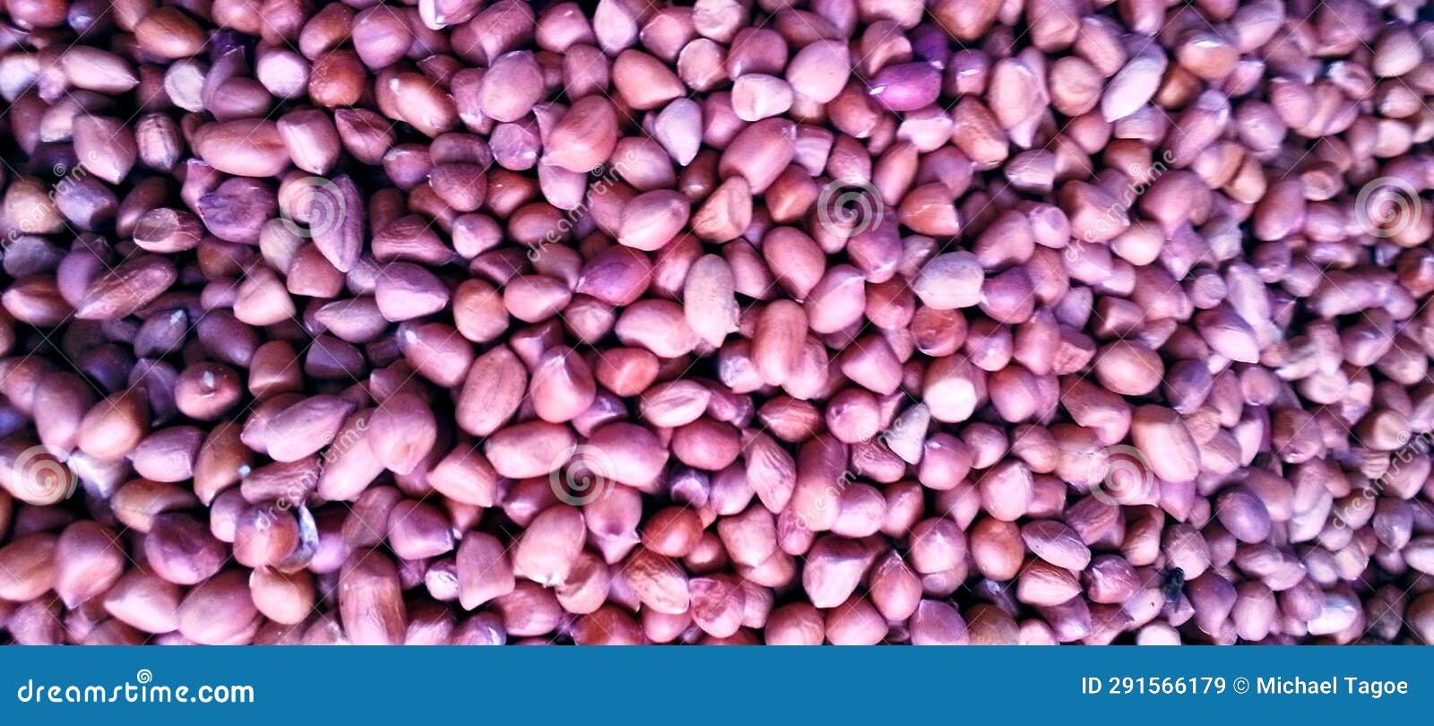 Peanut seeds stock image. Image of peanut, healthy, grocery - 291566179