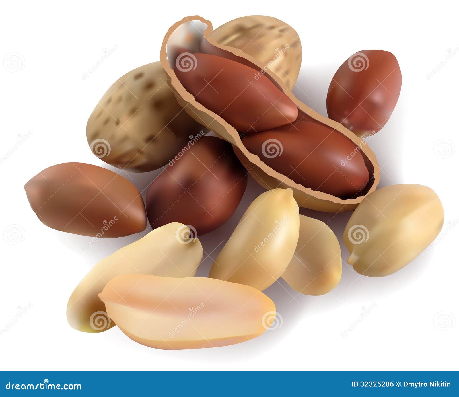 Peanut in a Shell and Cleared Stock Vector - Illustration of group ...