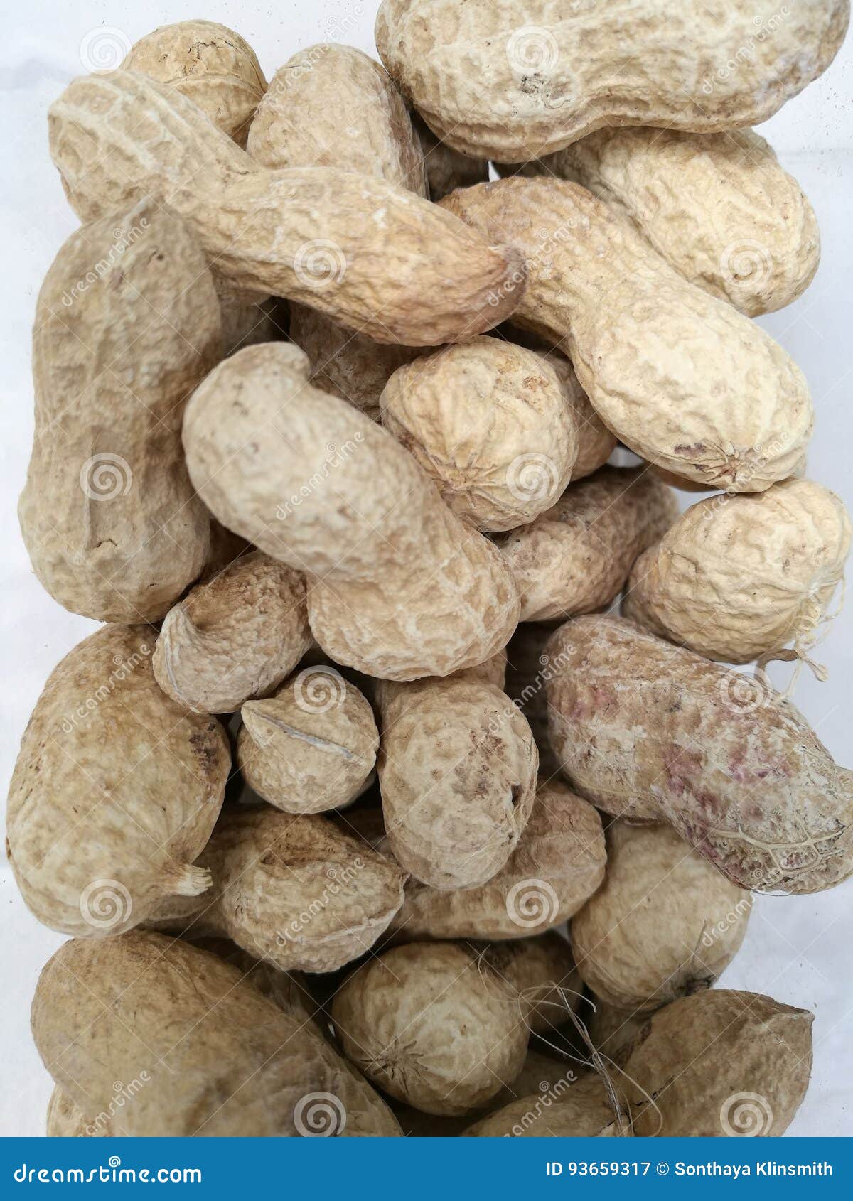 Peanut in shell stock image. Image of peanut, closeup - 93659317