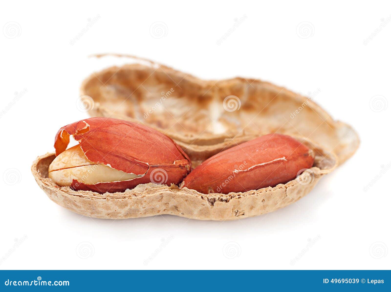 Peanut with shell stock image. Image of brown, nutshell - 49695039