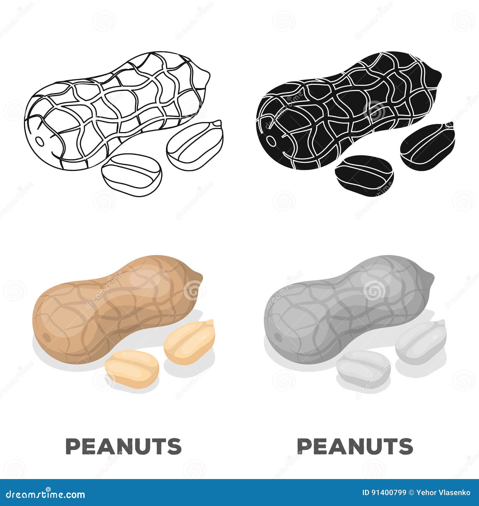 Peanut in the Shell.Different Kinds of Nuts Single Icon in Cartoon ...