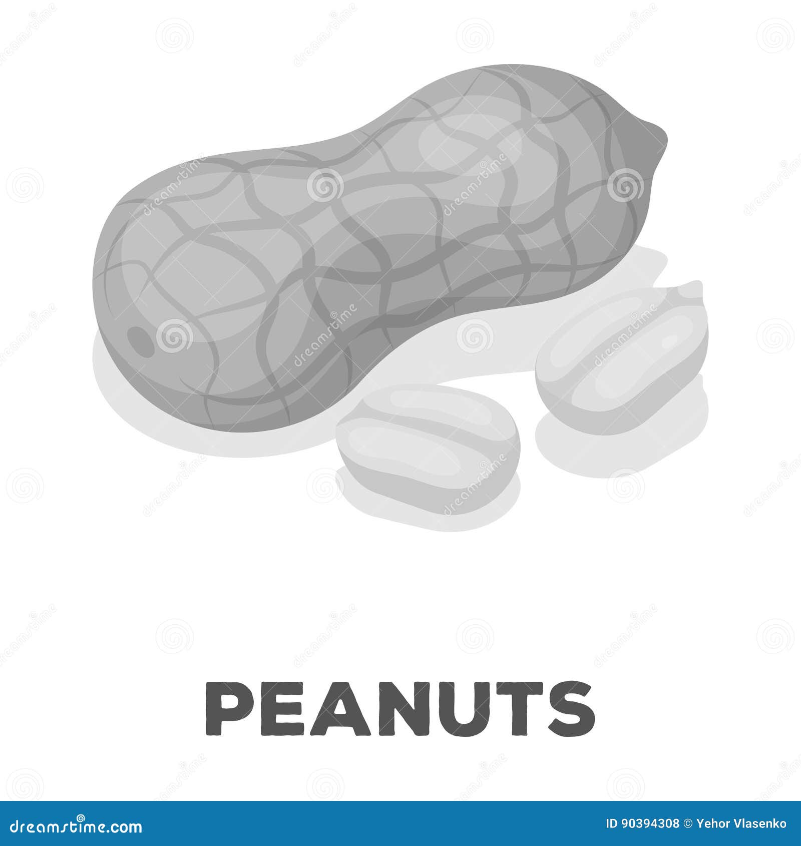 Peanut in the Shell.Different Kinds of Nuts Single Icon in Monochrome ...