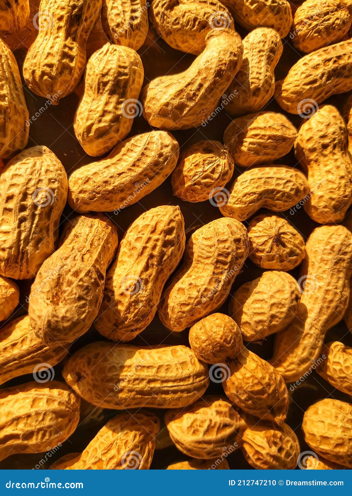 Peanut Shell Has a Golden Yellow Color Stock Photo - Image of shell ...