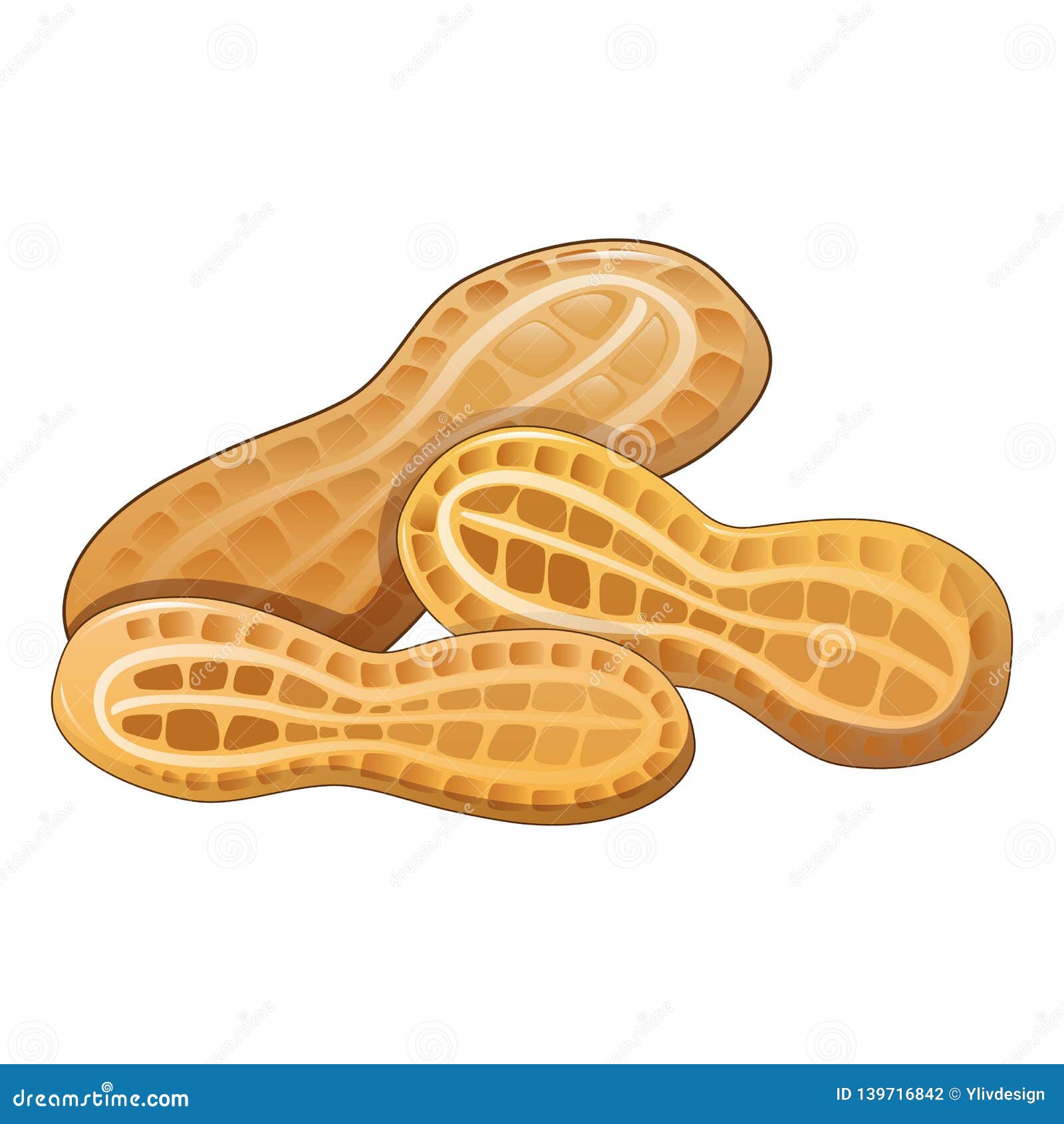 Peanut in Shell Icon, Cartoon Style Stock Vector - Illustration of ...