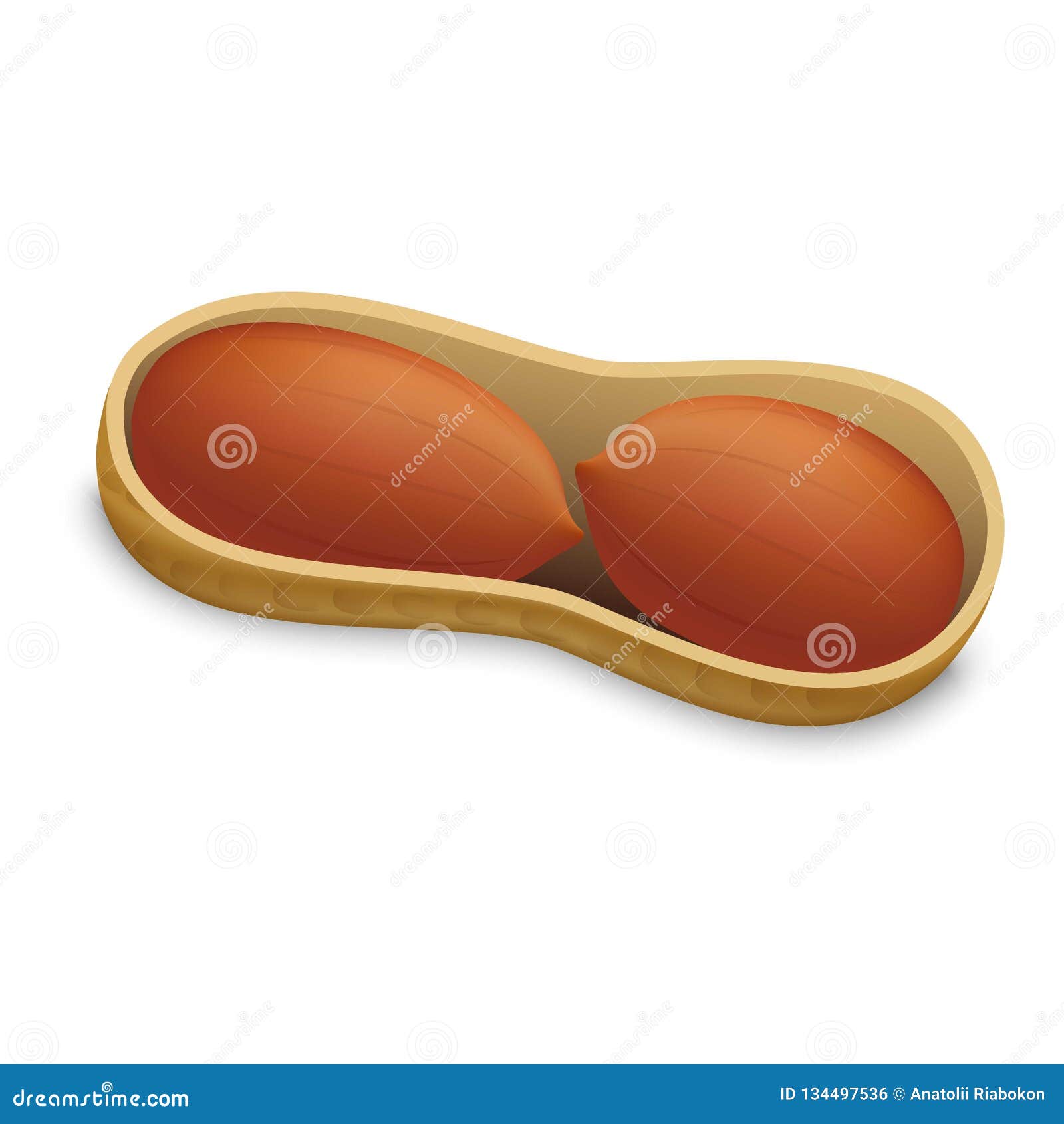 Peanut in Shell Icon, Realistic Style Stock Vector - Illustration of ...