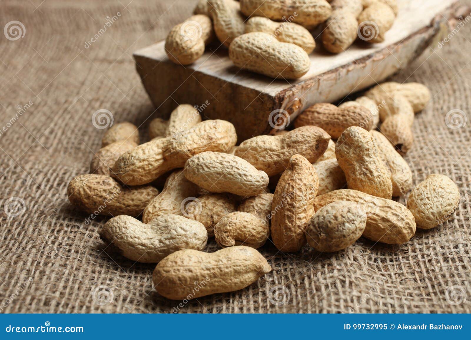 Peanut in the shell stock image. Image of tasty, food - 99732995