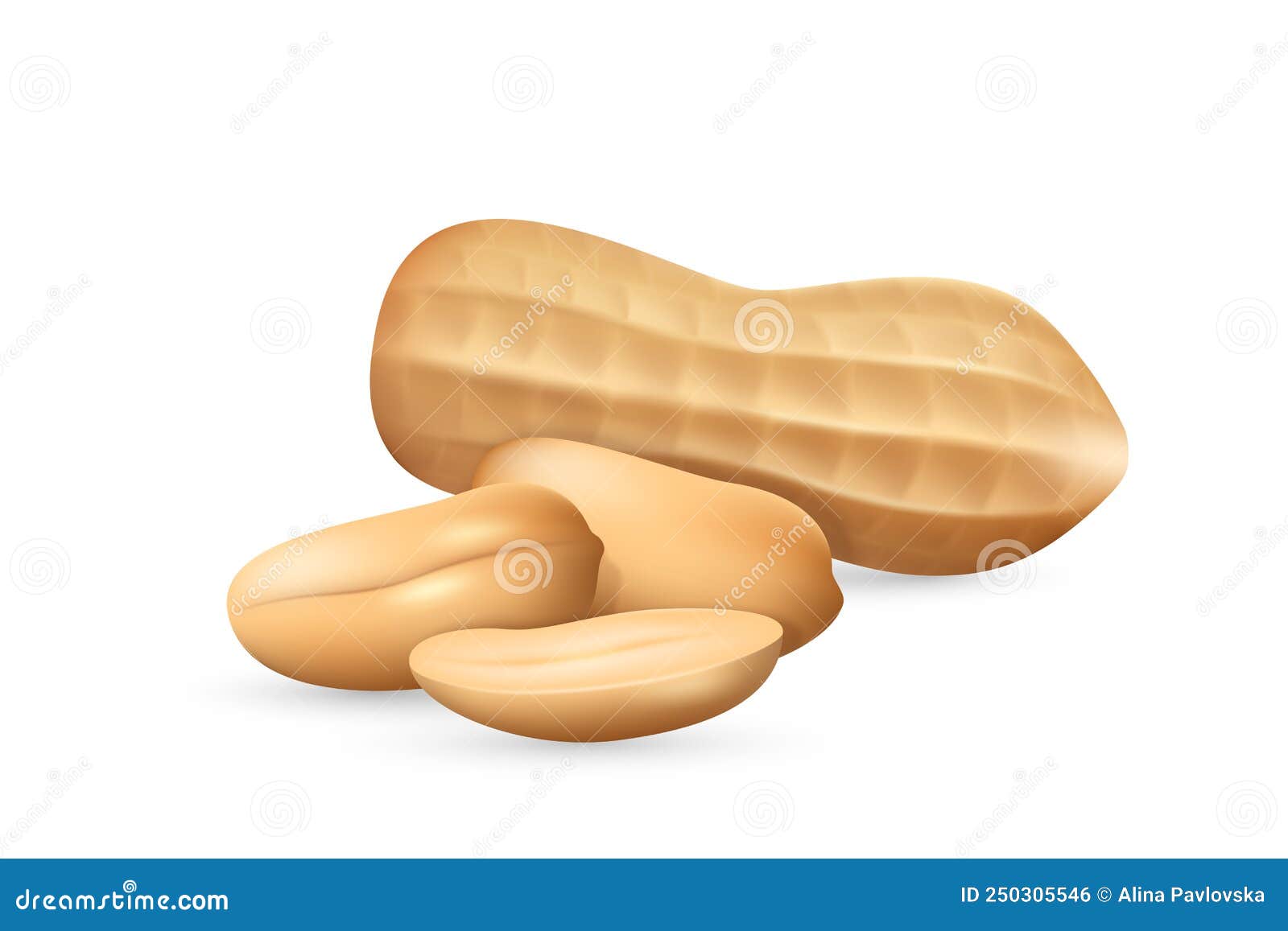 Peanut In Shell Realistic Icon. Groundnut Peeled And Unpeeled. Monkey ...
