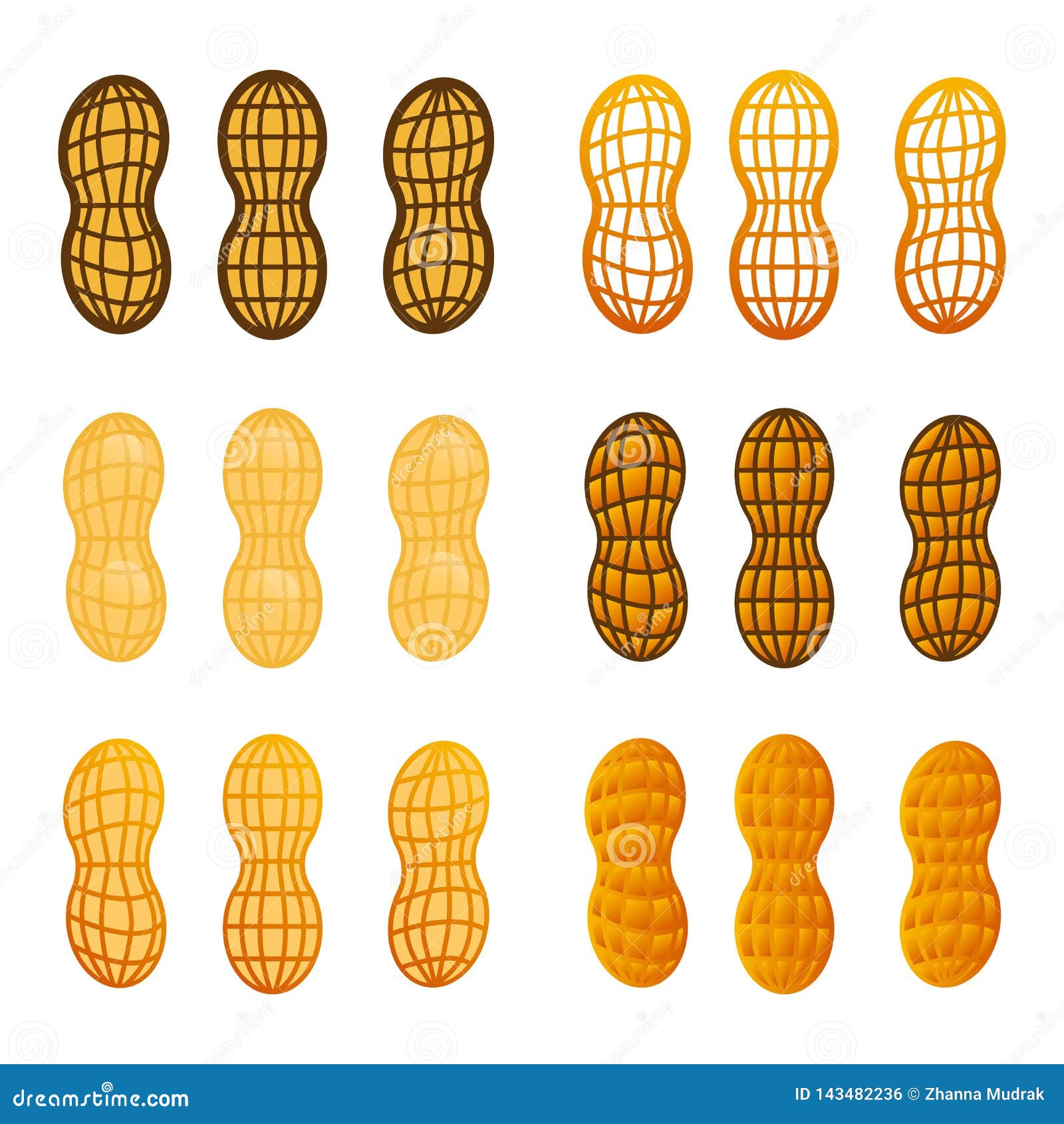 Peanut in Shell Vector Icon Set. Cartoon Illustration of Nut Icon for ...