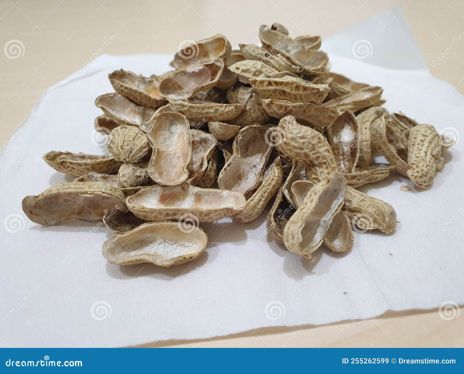 Peanut Shell that Will Become an Art Stock Image - Image of shell ...