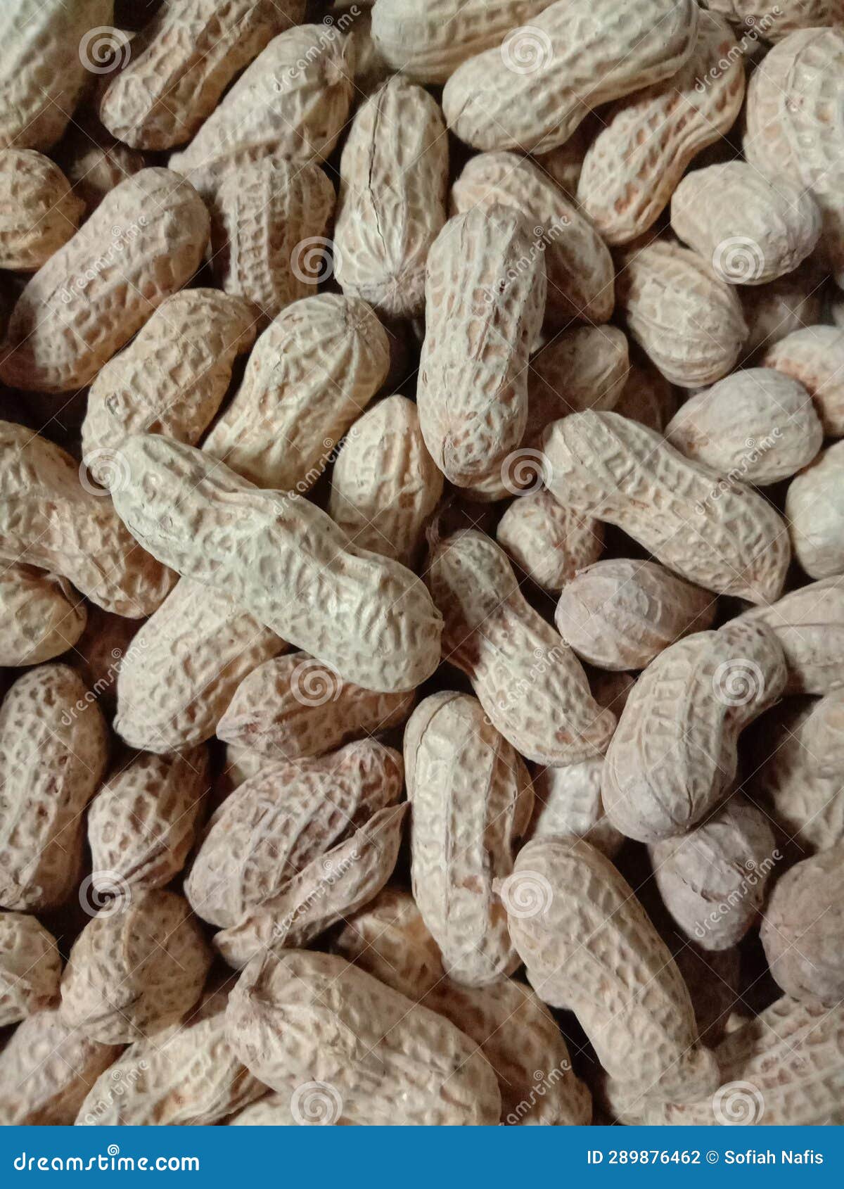 Peanut Shells: Delicious Traditional Indonesian Snacks Stock Photo ...